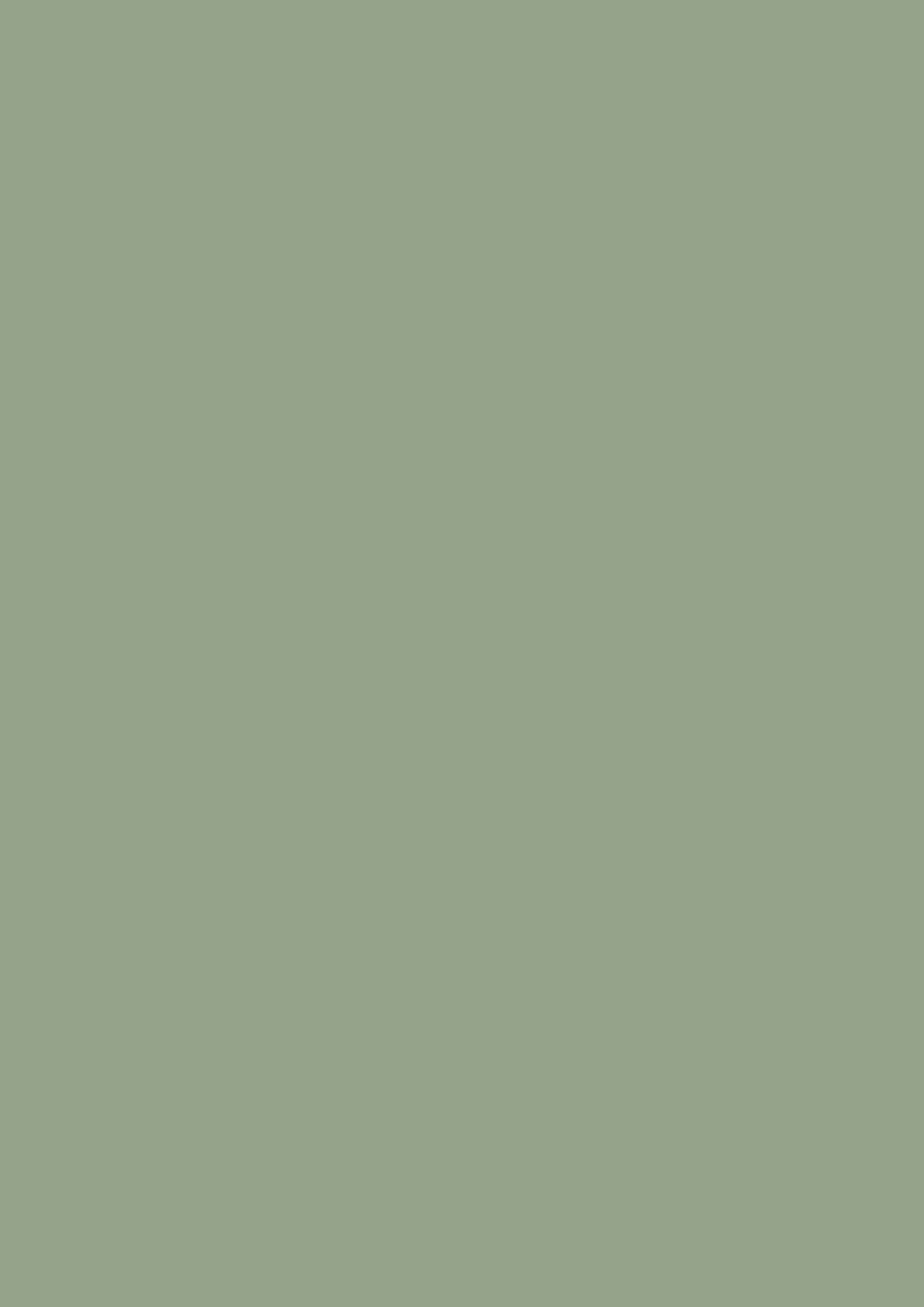 Breakfast Room Green Nr. 81 Farrow and Ball | ADLER Wohndesign