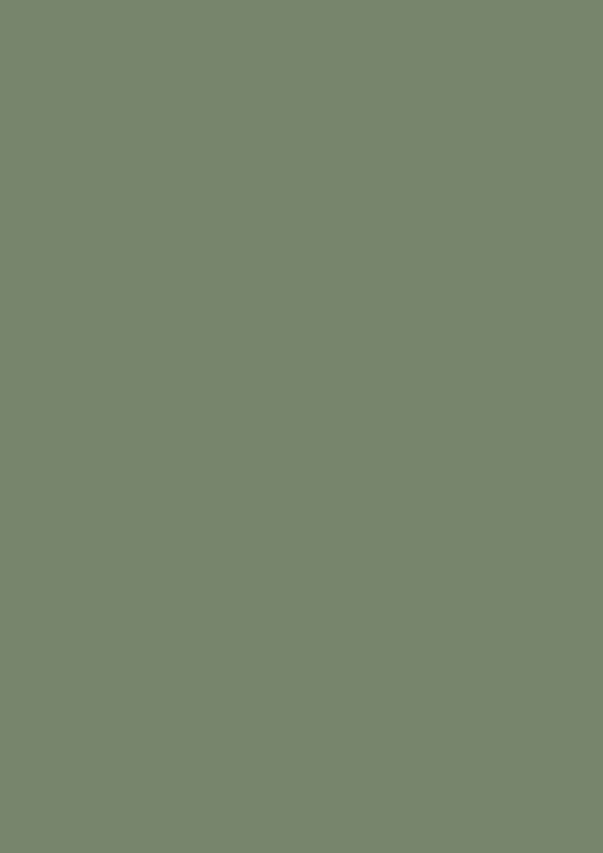 Calke Green Nr. 34 Farrow and Ball | ADLER Wohndesign