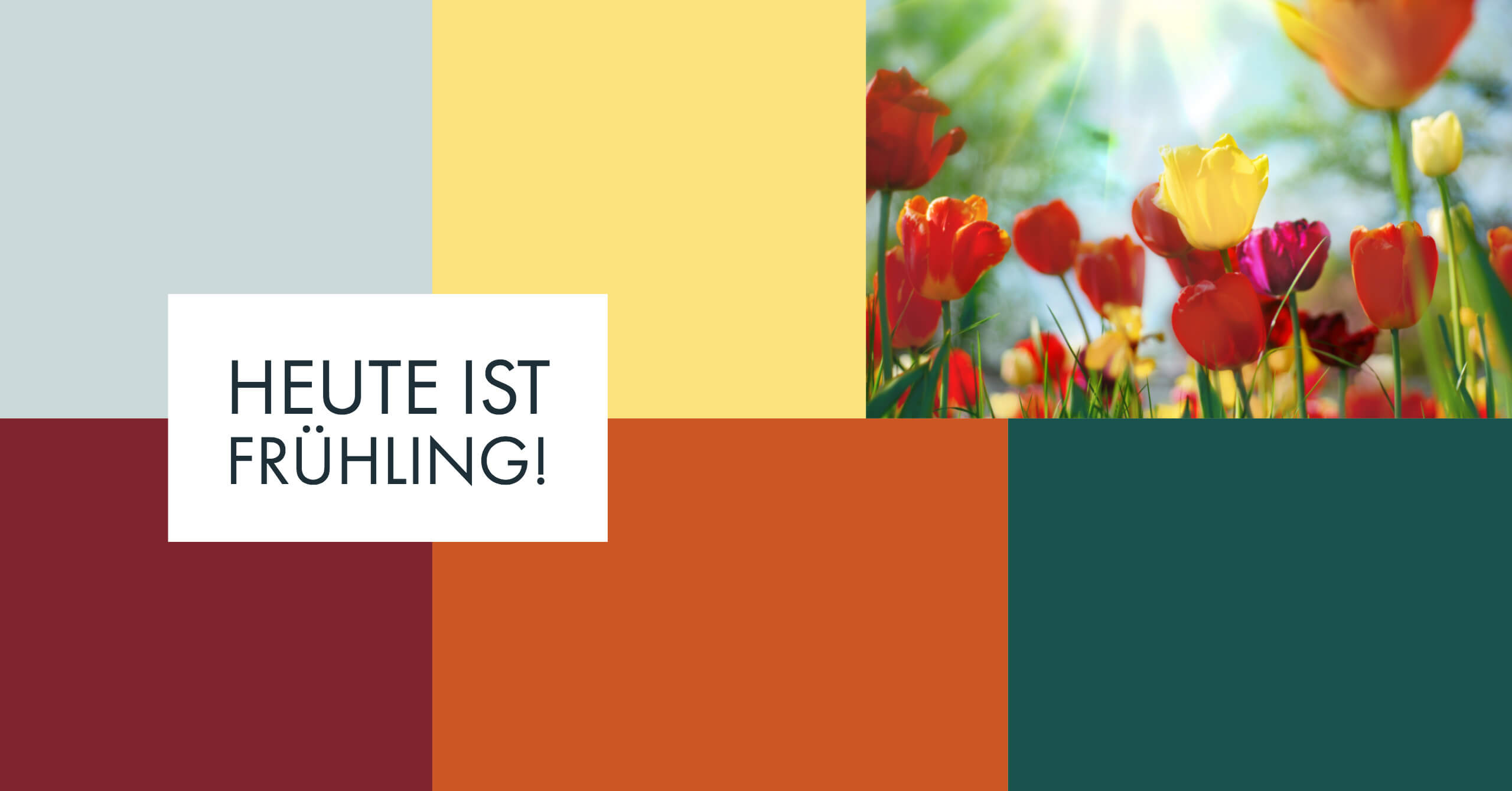 Farrow & Ball Farbkombination Frühling | ADLER Wohndesign